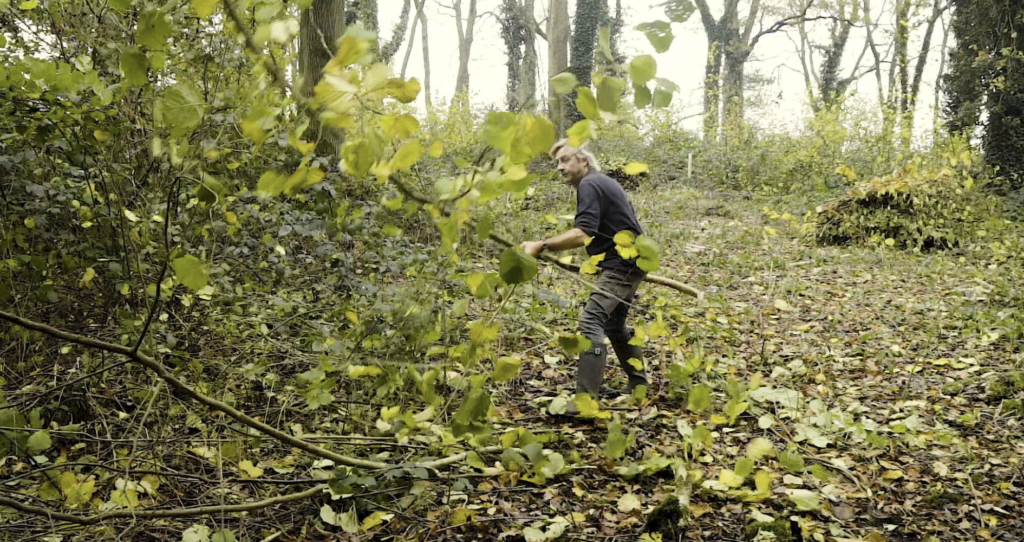 The Sights and Sounds of Traditional Woodland Coppicing - Butser Plus