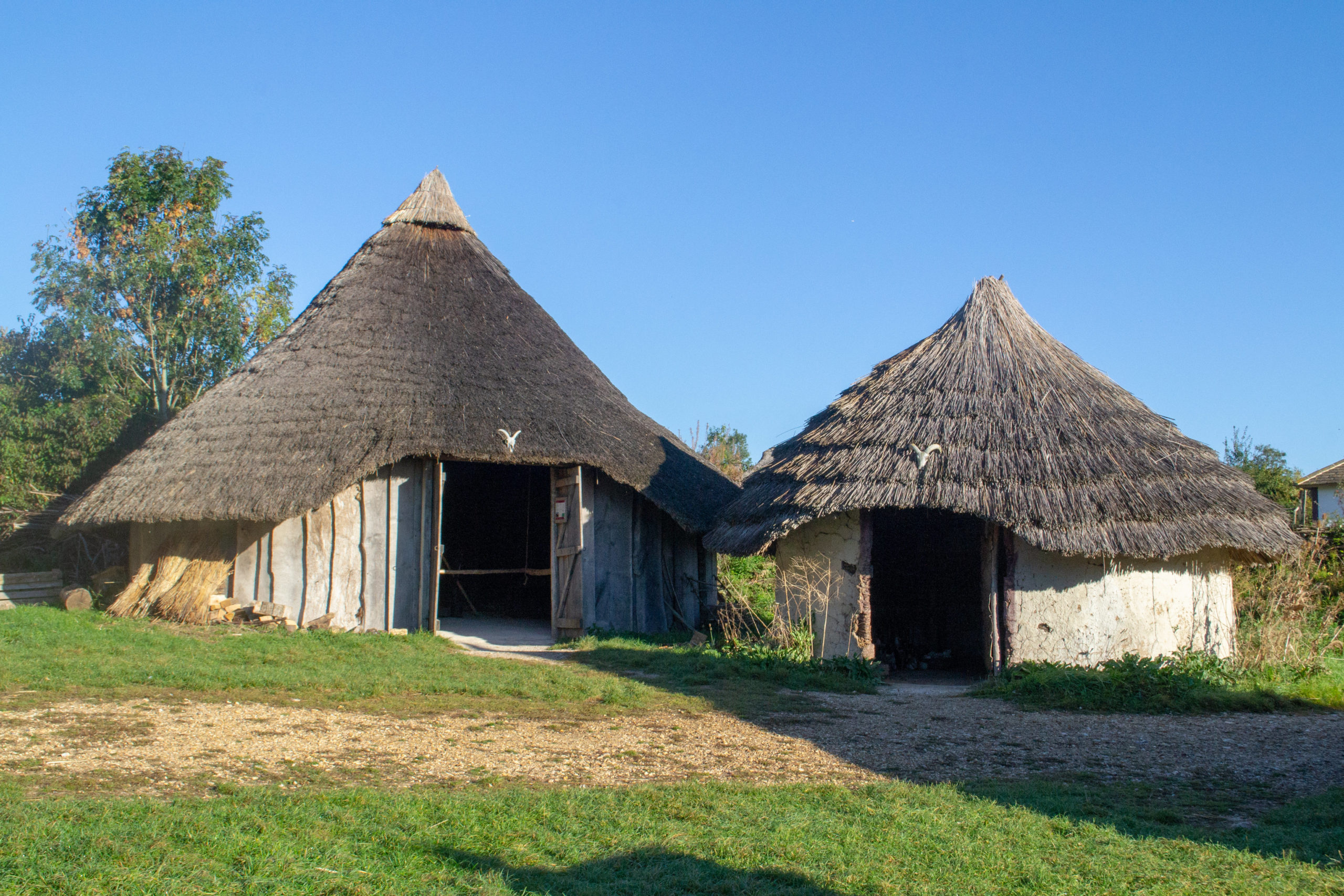 About Us - Butser Plus