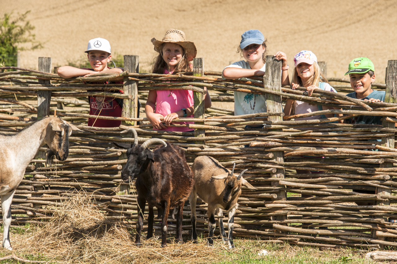 About Us - Butser Plus